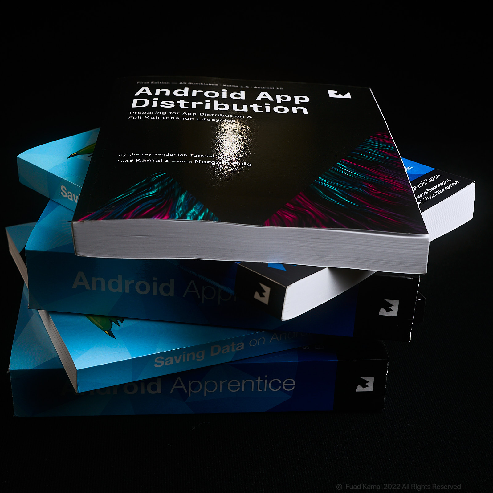 Bibliography - Ruminations